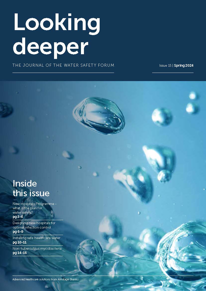 Looking Deeper Journal - 15th Edition